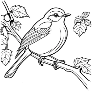 100+ Kolorowanki z Rudzikami for Free • 🎨 Magia Kolorowanek